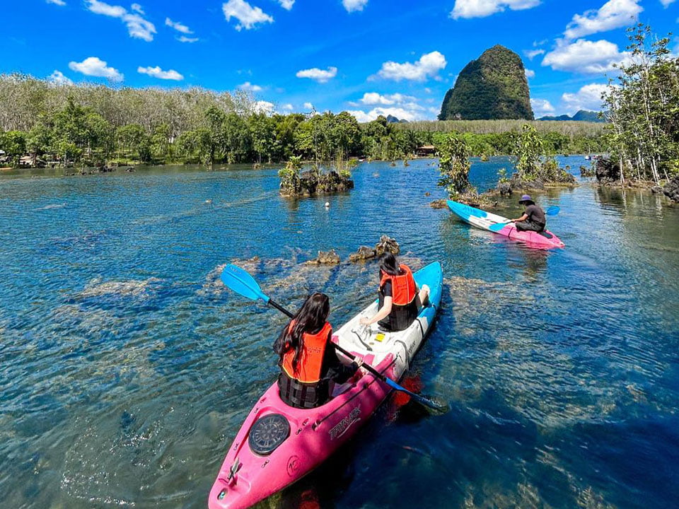 กระบี่ พายเรือคายัค คลองน้ำใส คลองหรูด ครึ่งวันเช้า - ภูเก็ต ดรีม ทัวร์